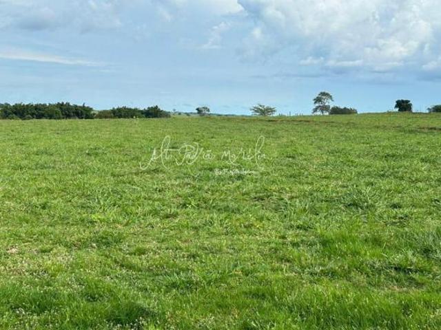 Área para Venda em Marília, Jardim Tangará