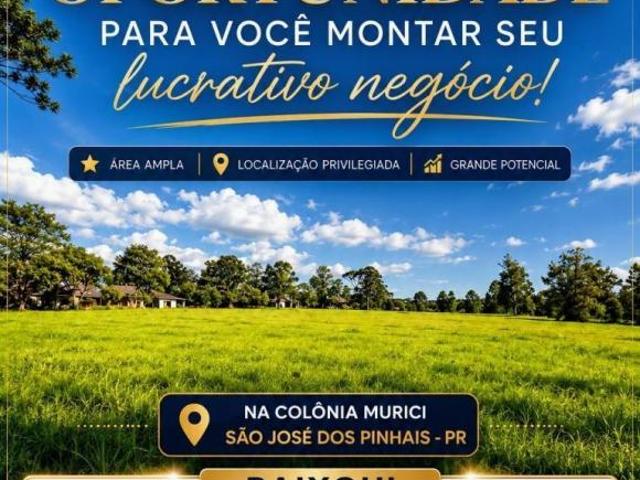Área para Venda em São José dos Pinhais, Colônia Murici