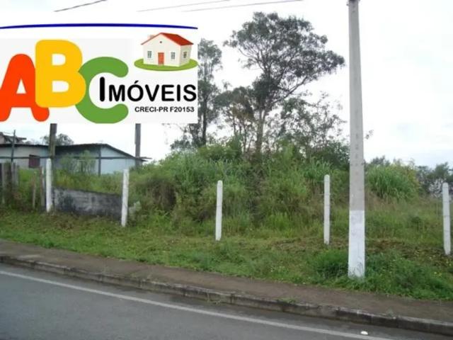 Área para Venda em São José dos Pinhais, campina