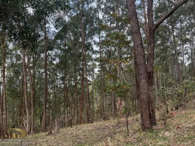 Área para Venda em Santana de Parnaíba, Sítio do Morro