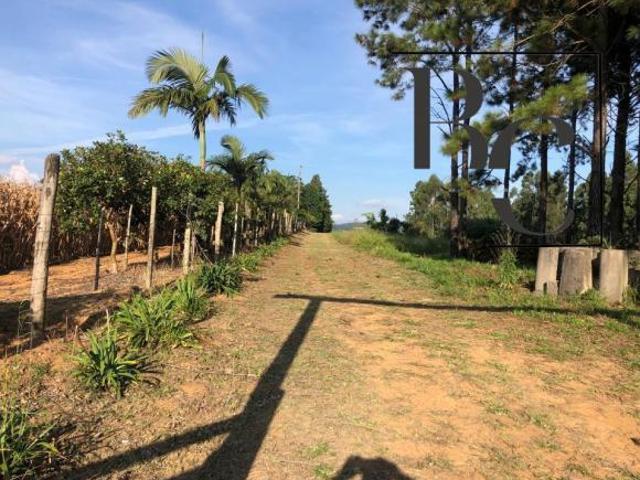 Área para Venda em Piedade, Godinhos