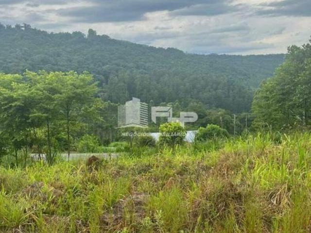 ÁREA PLANA COM 2.300M² ENTRE FELIZ E ALTO FELIZ