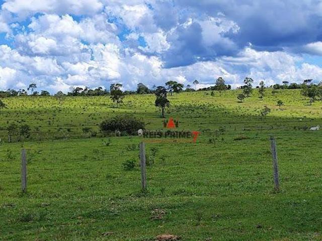 Área próxima ao Cacau PARK Cacau Show à venda, 200000 m² ´ por R$ 45.000.000 Cajuru do Sul S