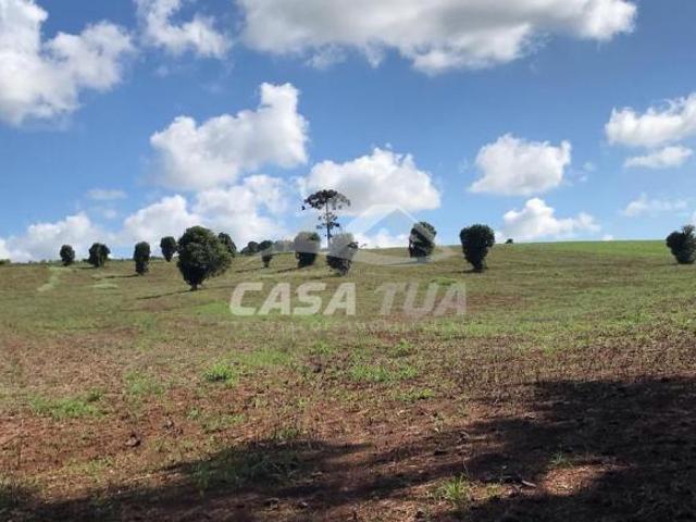 ÁREA RURAL MATO CASTELHANO 10,8 HA