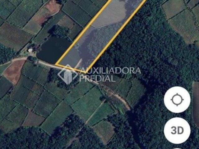Área rural número 31 da Linha Graciema, Vale dos Vinhedos, Zona Rural de Bento Gonçalves/RS com área