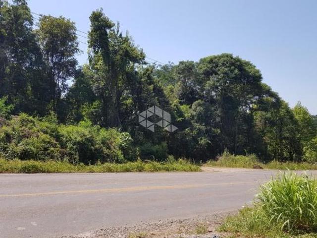 Área Rural na Linha Leopoldina 13,8 Hectares com Vinhedo Produtivo