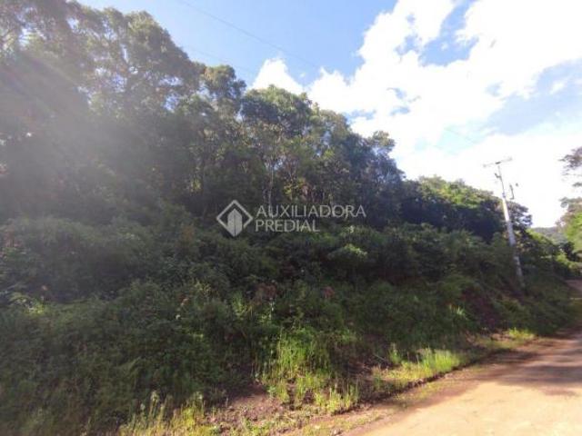 ÁREA RURAL NA LINHA SÃO PAULO EM CANELA