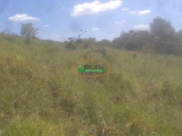 aREA RURAL A VENDA