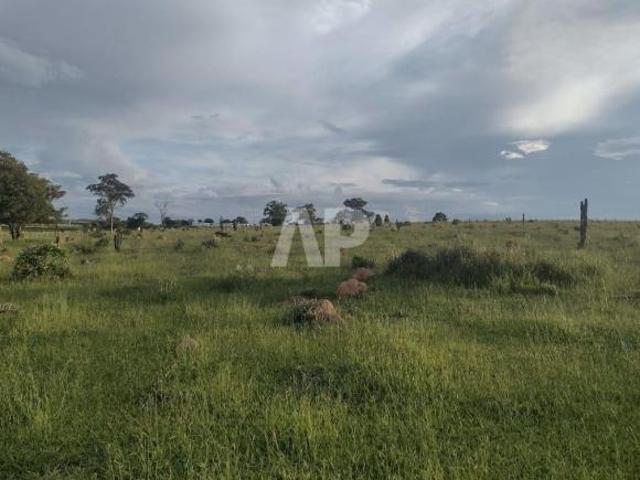 Área à venda, 112748 m² por R$ 4.000.000,00 Jacú Itu/SP
