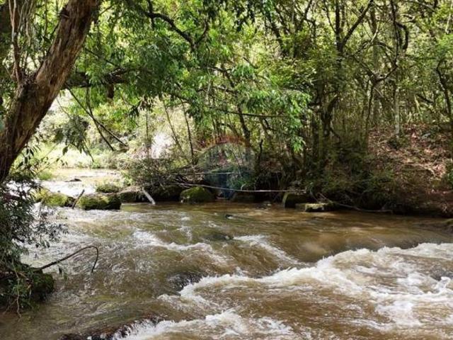 Área rural à venda em Camanducaia MG com 138 mil m² e riacho