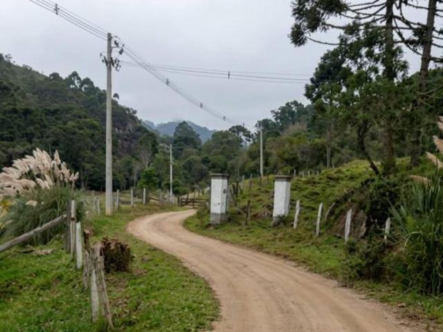 Área Rural à Venda em Cunha – Aproximadamente 40 Hectares
