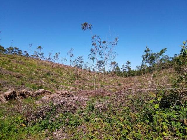 Área rural à venda em Ibiúna com 7 alqueires