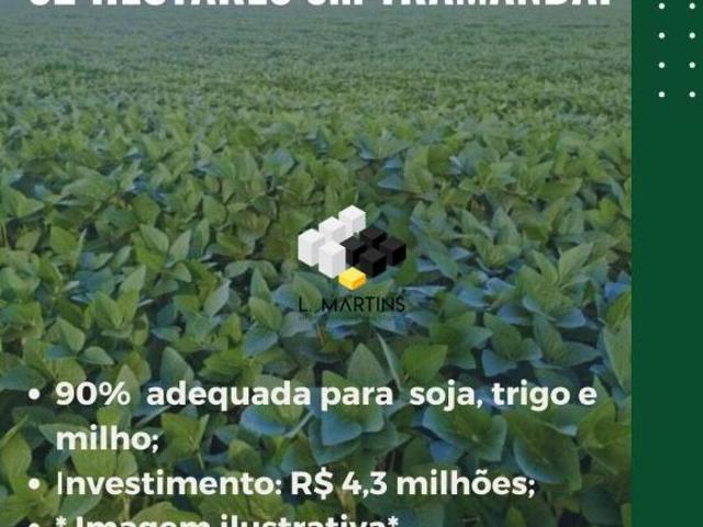 Área Rural a Venda em Tramandaí 82 Hectares Plantio