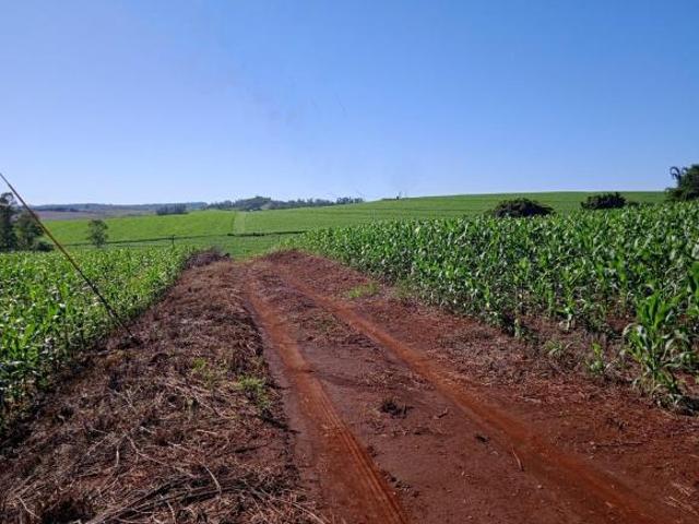 Área Rural à venda no Serrinha ROD. 445 6,75 ALQ POR r$ 400.000 O ALQUEIRE Londrina/PR