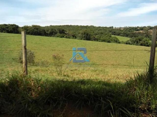 Área rural à venda, Rio Abaixo, Jarinu