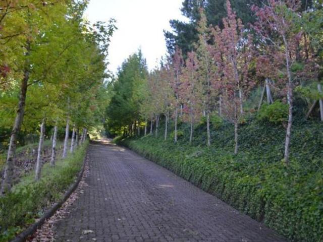 Área Rural Bairro Linha Bonita