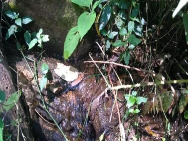 Área Rural, Centro, Monteiro Lobato, SP