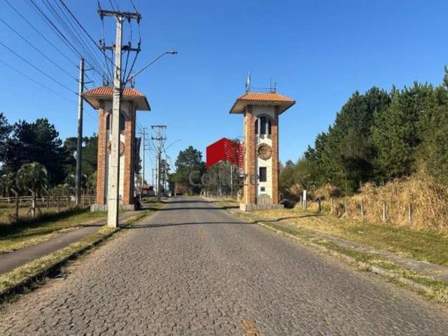 Área Rural com 21.202,77m² 1 quarto, à venda, no bairro Colônia Murici em São José dos Pinhais
