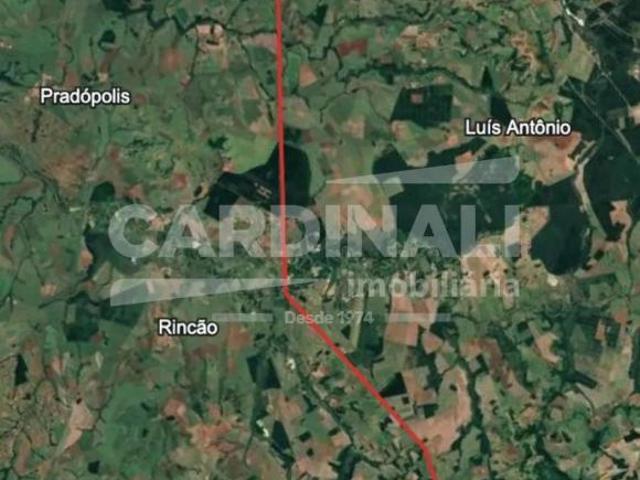 Area rural com localização em São Carlos Estancia Santa Luiza