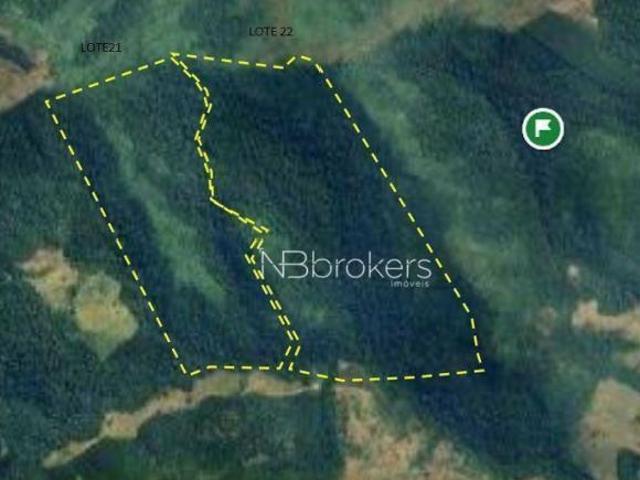 Área Rural com Potencial Florestal e Pecuário no Paraná