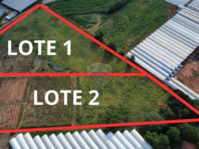 Área rural de 40.000 m² planos a 5 km do centro de Holambra