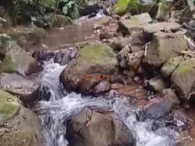 Área Rural em Morro Capim, Alto Feliz/RS