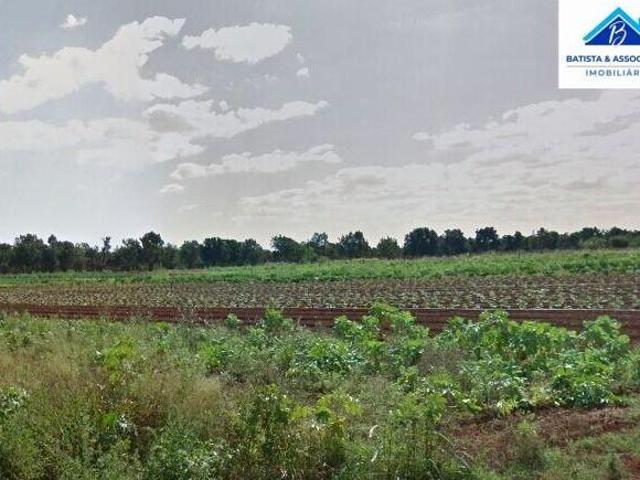 Área Rural em Barão Geraldo, Campinas/SP