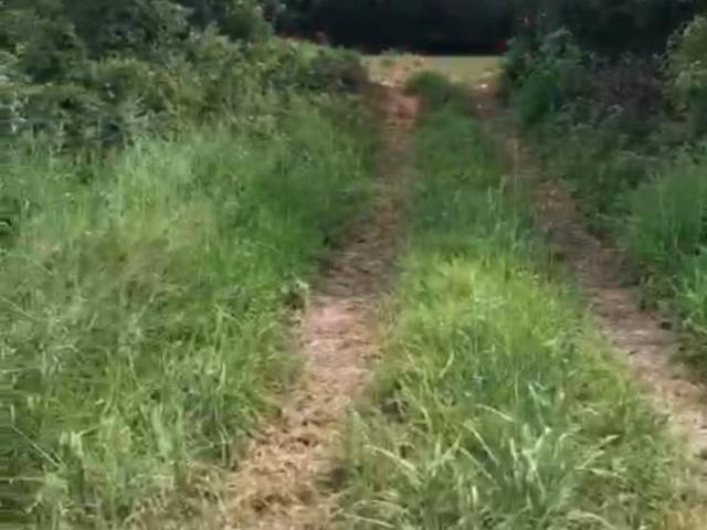 Área Rural em Fiuza