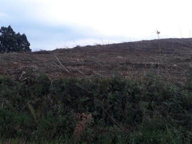 Área rural em Gramado