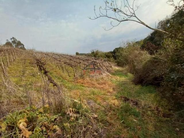 Àrea Rural em Linha Jacinto, Farroupilha/RS