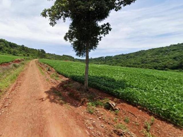 Área rural em Perola D&apos Oeste/PR com 7,76 alqueires / 18,78 hectares