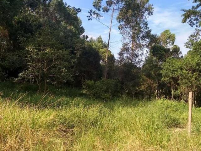 Área Rural em Salesópolis 24 mil metros
