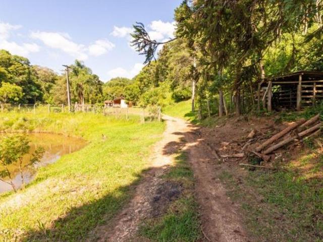 Área Rural Escriturada com Lago, Nascente e Registro INCRA – Campo Magro