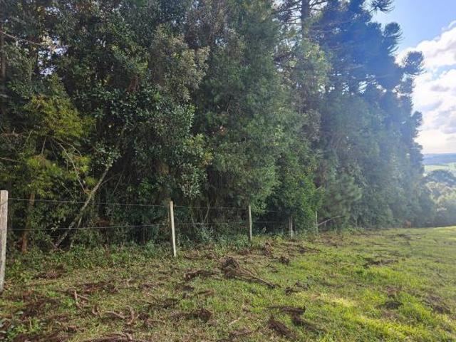 Área Rural Estratégica à Venda, 293.909,82 m², em Araucária
