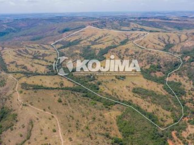 área rural Fazenda com 225 h. Formada com Nascentes Preservadas. 3 km de estrada de chão