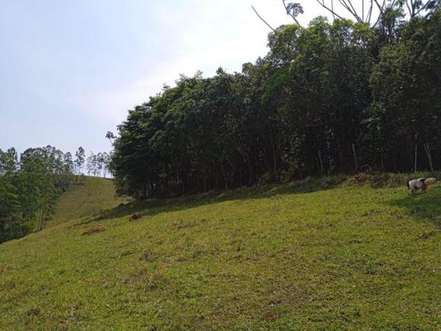 Área Rural, Lagoa, Paraibuna, SP
