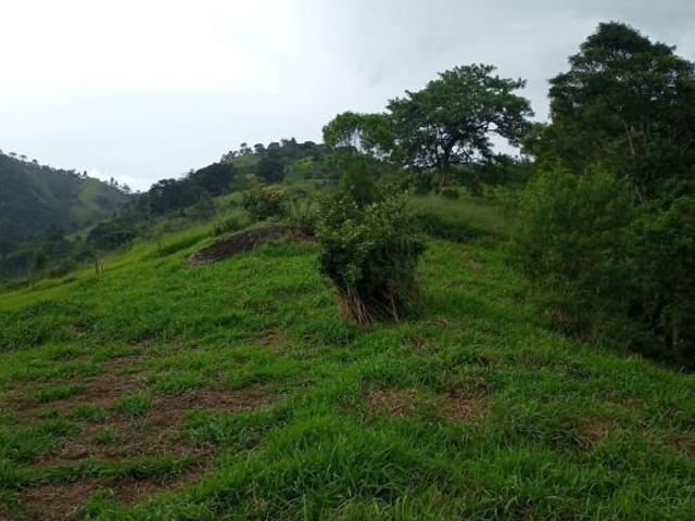AREA RURAL LAVRAS