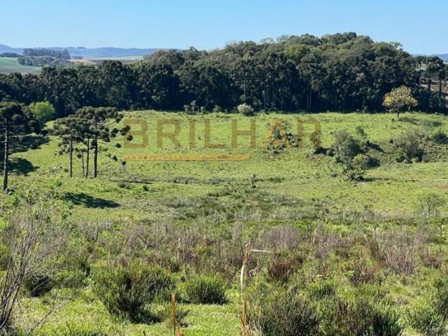 Área Rural para comprar em Vila Oliva