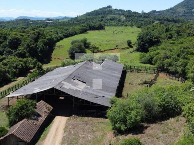 Área rural para criação de gado