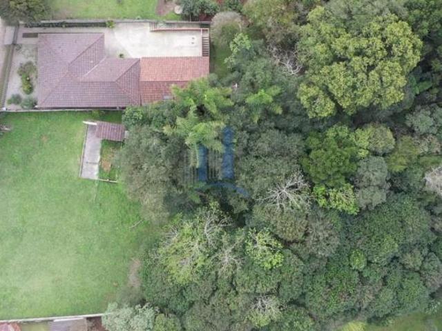 Área Rural para Venda em Colombo, Colônia Faria