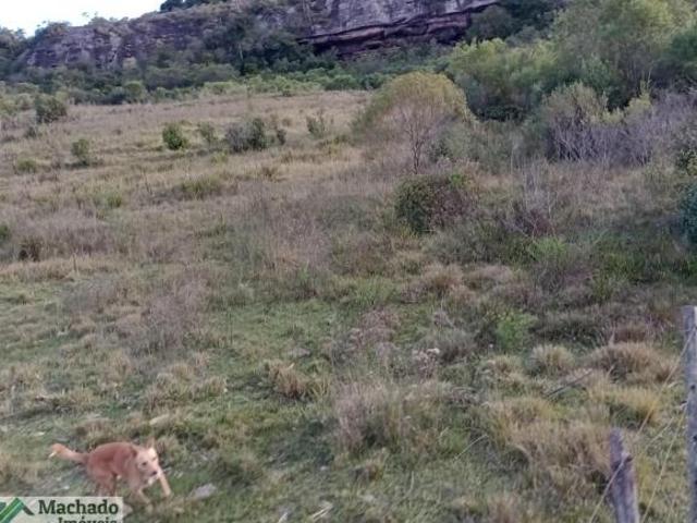 Área Rural para Venda em Caçapava do Sul, Rural