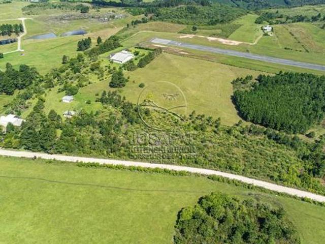 Área Rural para Venda em Balsa Nova, Zona Rural