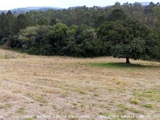 Área Rural para Venda em Mariana Pimentel, Beco da Patrícia Mariana Pimentel