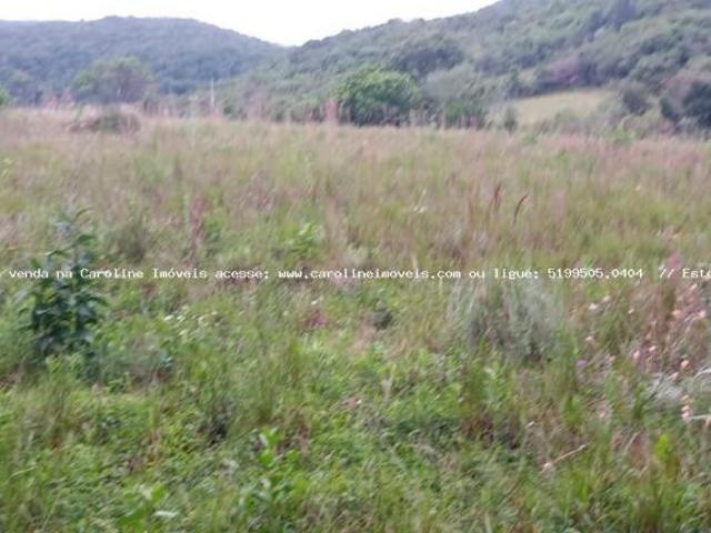 Área Rural para Venda em Mariana Pimentel, Linha Vasques