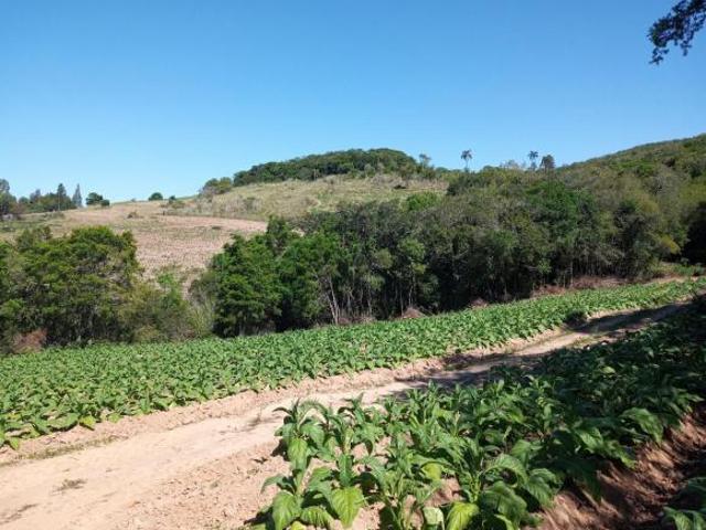 Área Rural para Venda em Mariana Pimentel, Linha Dr. Flores