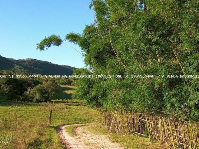 Área Rural para Venda em Mariana Pimentel, Potreiro Grande