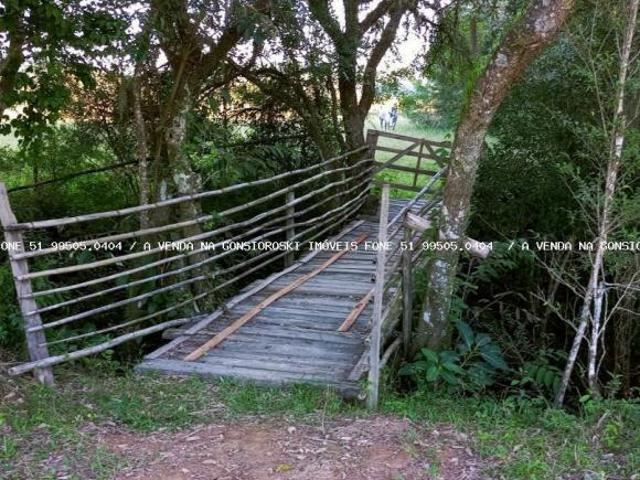 Área Rural para Venda em Mariana Pimentel, Potreiro Grande