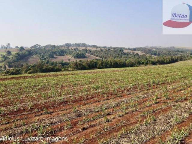 Área Rural para Venda em São João da Boa Vista, Campo Belo