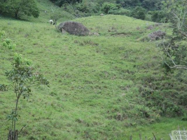 Área Rural, Rural, Consolação, MG