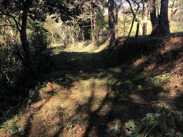 Área Rural, Souza, Monteiro Lobato, SP